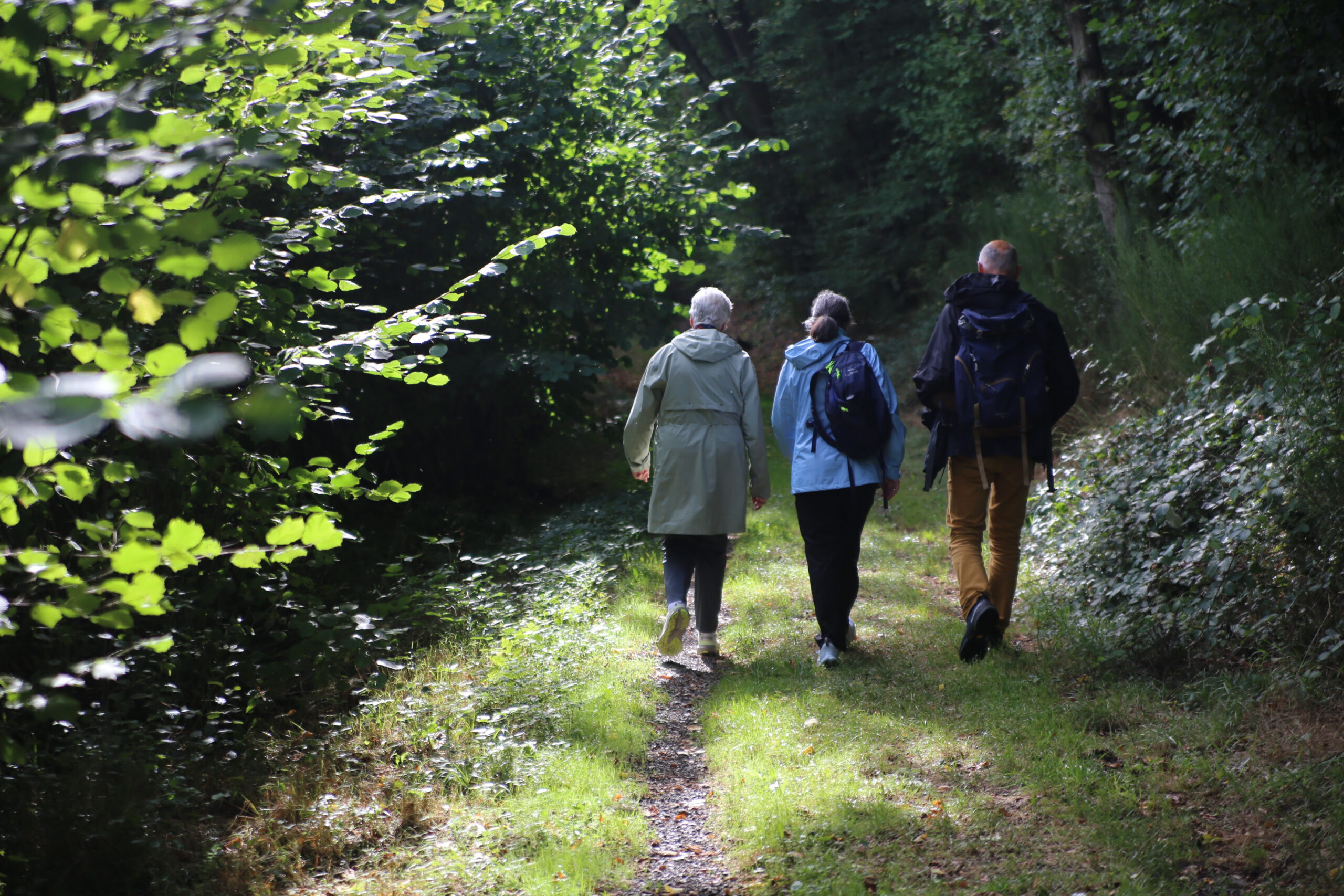 Walk in Hildegard of Bingen's Footsteps - Saint Hildegard Way